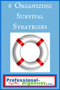 6 Organizing Survival Strategies - Ellen's Blog, Professional ...