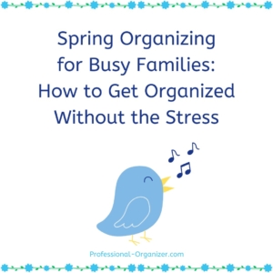 Spring Organizing for Busy Families: How to Get Organized Without the ...